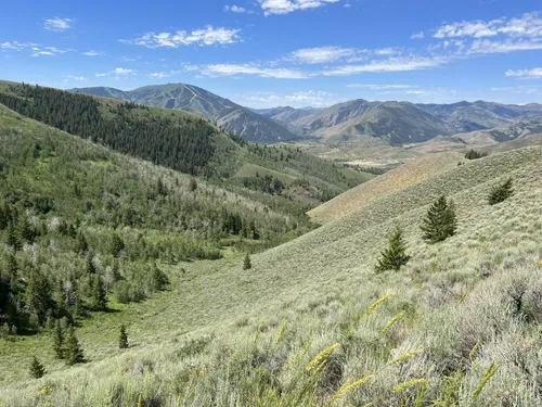 10 Best Trails and Hikes in Sun Valley | AllTrails