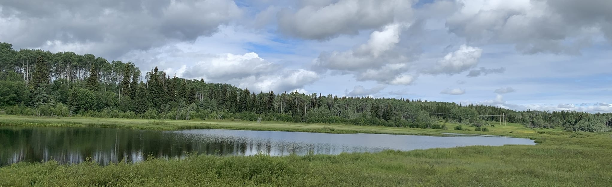 Rod Reid Trail, British Columbia, Canada - 19 Reviews, Map | AllTrails