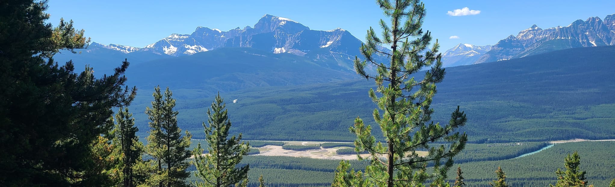Castle Mountain Lookout Trail, Alberta, Canada - 1,752 Reviews, Map ...