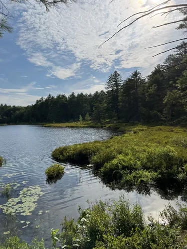 Best Hikes and Trails in Greenfield State Park | AllTrails