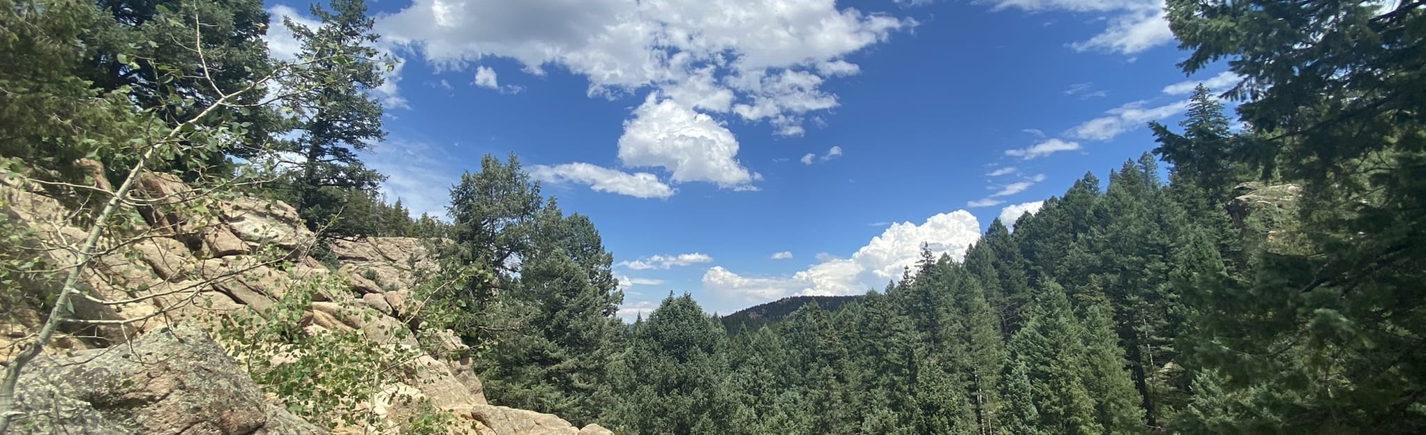 Maxwell Falls Lower Trail - Colorado | AllTrails