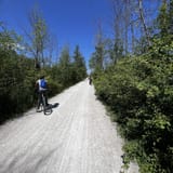 Georgian Trail , Ontario, Canada - 462 Reviews, Map | AllTrails