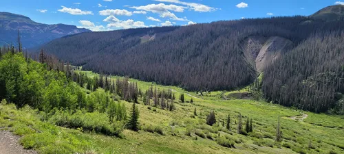 10 Best Off Road Driving Trails in Silverton | AllTrails