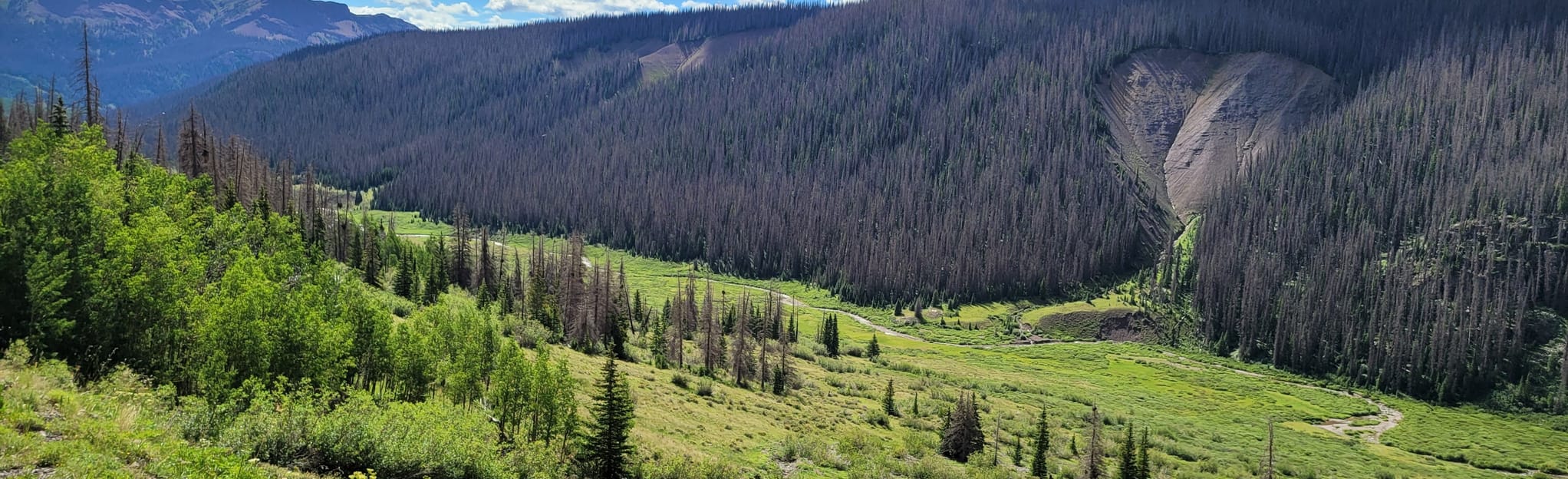 Stony Pass OHV, Colorado - 70 Reviews, Map | AllTrails