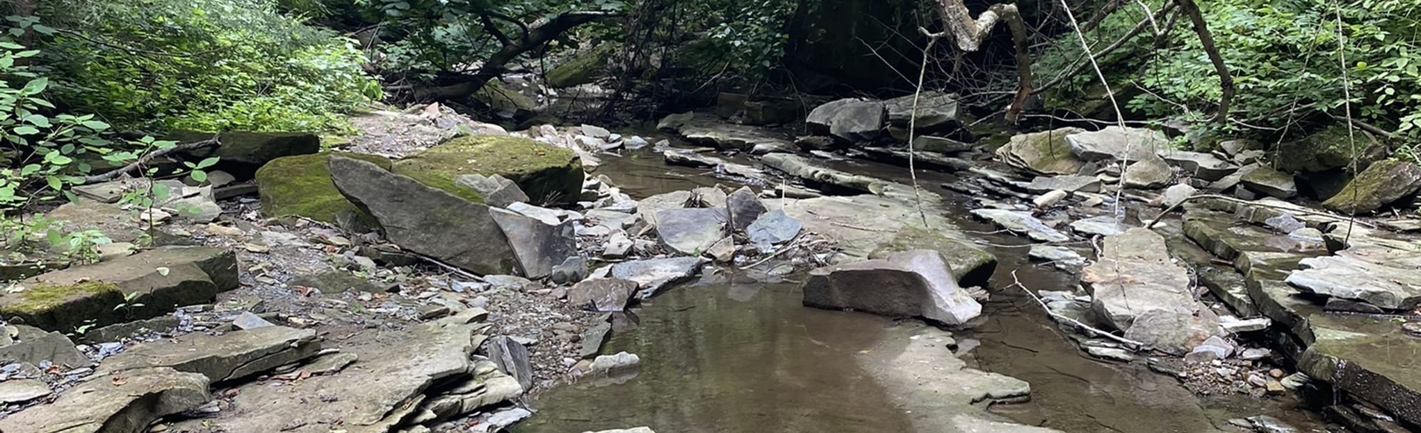 Stebbins Gulch, Ohio - 12 Reviews, Map | AllTrails