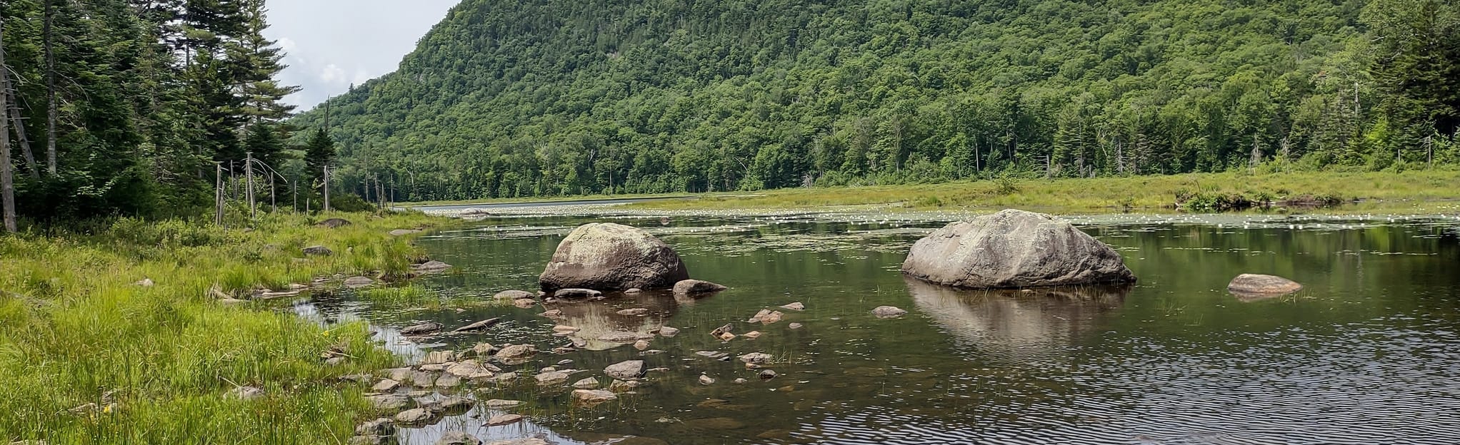 Bailey Pond Trail: 11 Reviews, Map - New York | AllTrails