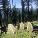 South Chilco Mountain, Idaho - 183 Reviews, Map | AllTrails