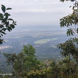 Mount Jerai via Merbok Trail, Kedah, Malaysia - 18 Reviews, Map | AllTrails