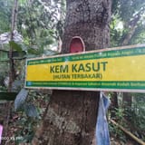 Mount Jerai via Merbok Trail, Kedah, Malaysia - 18 Reviews, Map | AllTrails