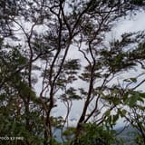 Mount Jerai via Merbok Trail, Kedah, Malaysia - 18 Reviews, Map | AllTrails