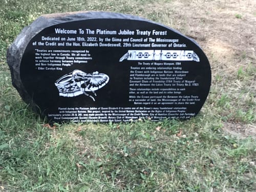 Best Hikes and Trails in Joe Sams Park | AllTrails