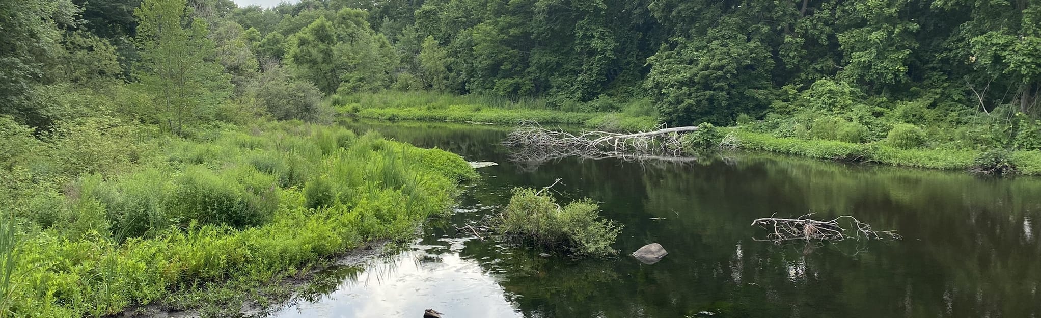 Rocky Run Loop Trail, Massachusetts - 6 Reviews, Map | AllTrails