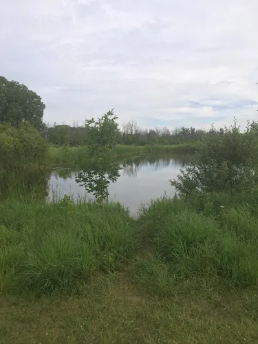 Best Hikes and Trails in Tendick Nature Park | AllTrails