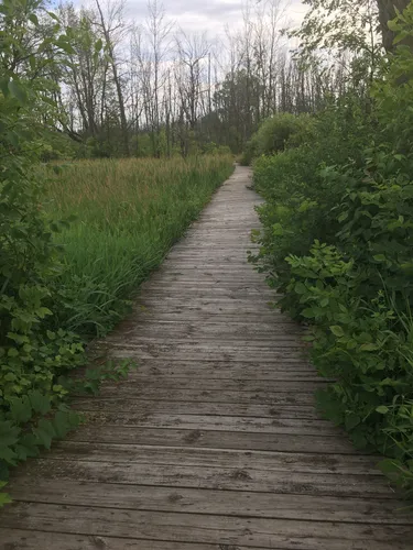 Best Hikes and Trails in Tendick Nature Park | AllTrails
