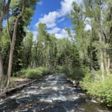 Elk Creek Trail, Colorado - 206 Reviews, Map | AllTrails