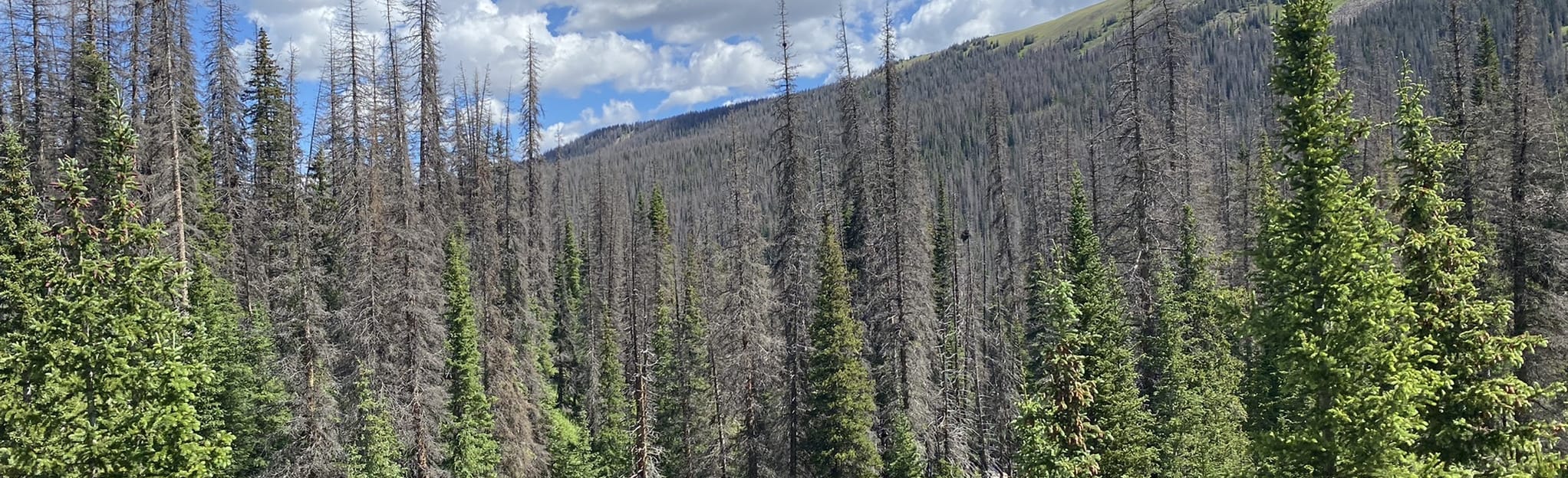 Hancock Lake and Williams Pass | Map, Guide - Colorado | AllTrails