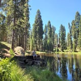 Balch Park Trail [CLOSED], California - 17 Reviews, Map | AllTrails
