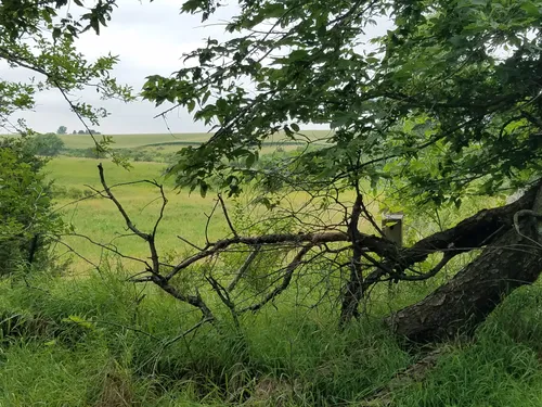 Best Hikes and Trails in Grimes Farm and Conservation Center | AllTrails