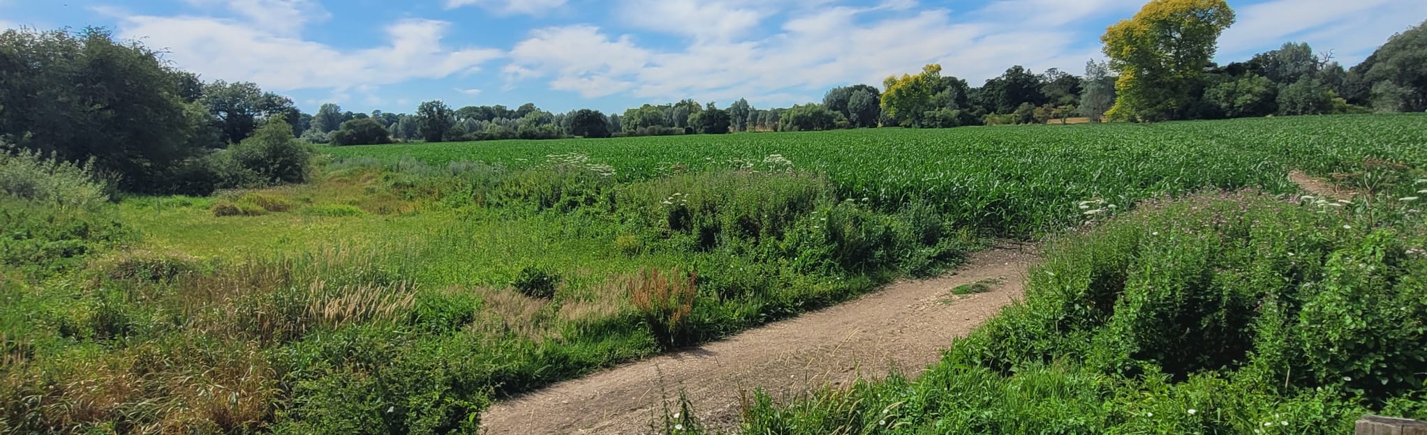 Bricket Wood Circular: 28 Reviews, Map - Hertfordshire, England | AllTrails