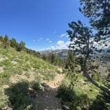 Jackson Peak Trail, Wyoming - 256 Reviews, Map | AllTrails