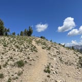 Jackson Peak Trail, Wyoming - 256 Reviews, Map | AllTrails