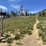 Jackson Peak Trail, Wyoming - 256 Reviews, Map | AllTrails