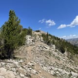 Jackson Peak Trail, Wyoming - 256 Reviews, Map | AllTrails