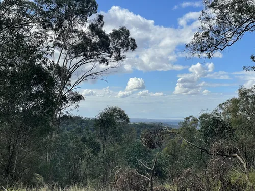 Best Moderate Trails in Upper Kedron | AllTrails