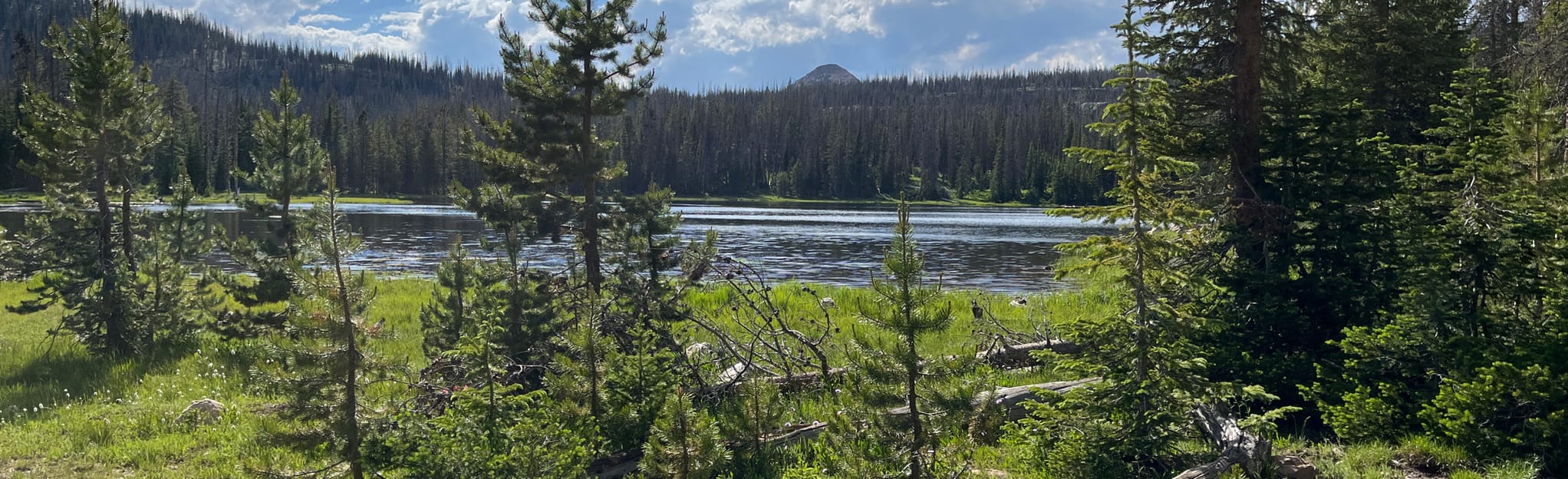 Crystal Lake, Big Elk Lake, Island Lake Loop: 43 Reviews, Map - Utah ...