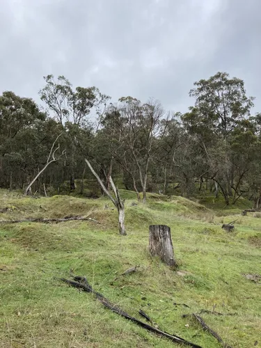 Best Hikes and Trails in Spring Plains Nature Conservation Reserve ...