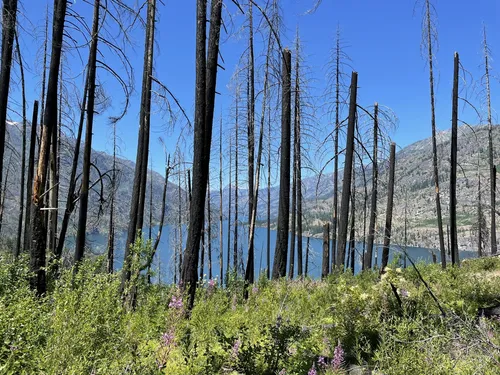 10 Best Trails and Hikes in Chelan | AllTrails