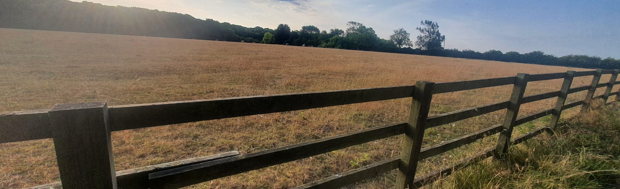 Flitwick Wood and Plantation Circular, Bedfordshire, England - 33 ...