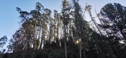 Best Hikes and Trails in Silvan Forest Mountain Bike Park | AllTrails