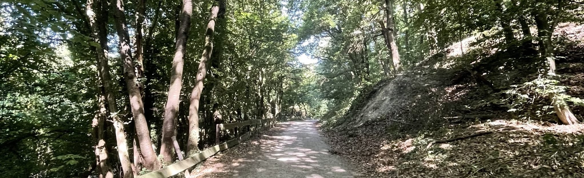 Hofheim - Lorsbach - Eppstein, Hesse, Germany - 7 Reviews, Map | AllTrails