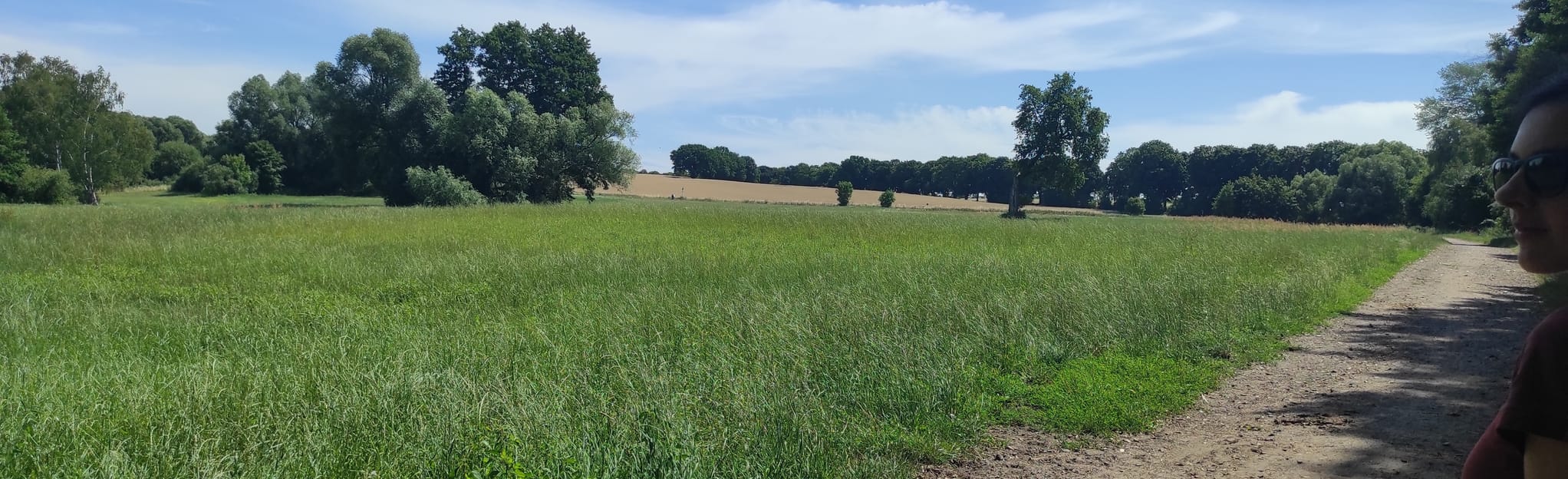 Houten loopbrug door de hei op de Tegeler Fließ: 115 foto's ...
