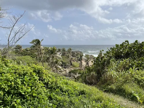 10 Best Trails and Hikes in Barbados | AllTrails
