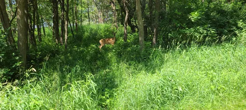 Best Hikes and Trails in Swan Lake State Park | AllTrails