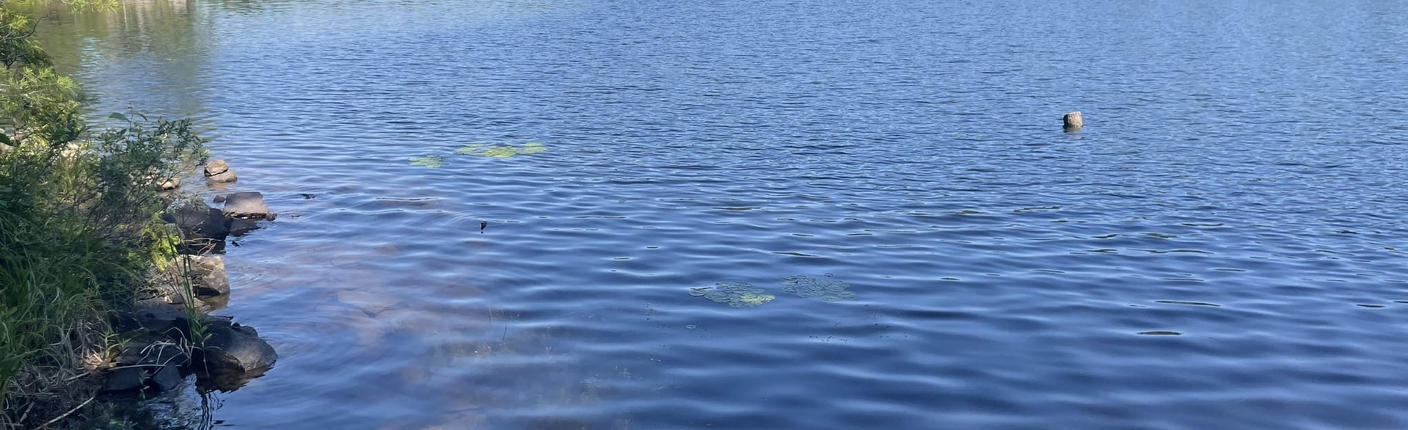 Talon Chute, Ontario, Canada - 16 Reviews, Map | AllTrails