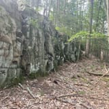 T Bagg Trail, Massachusetts - 280 Reviews, Map | AllTrails