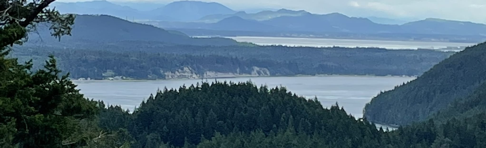 Eagle Cliff Trail via Pelican Beach: 43 Reviews, Map - Washington ...