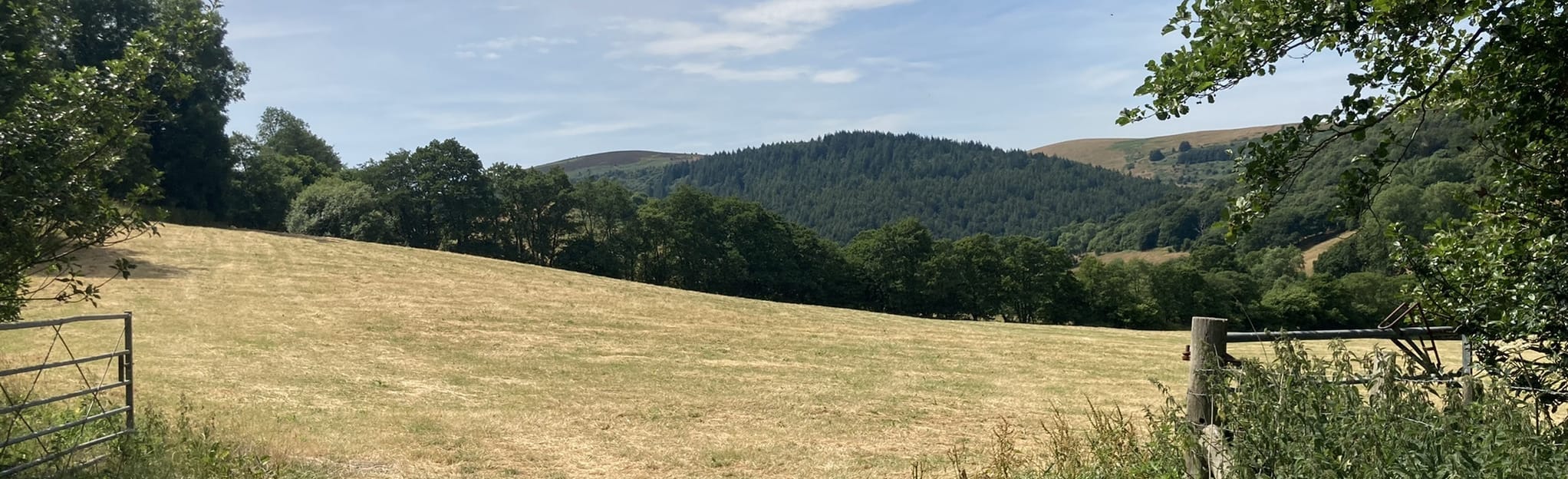 Nipstone Rock Circular: 19 Reviews, Map - Shropshire, England | AllTrails