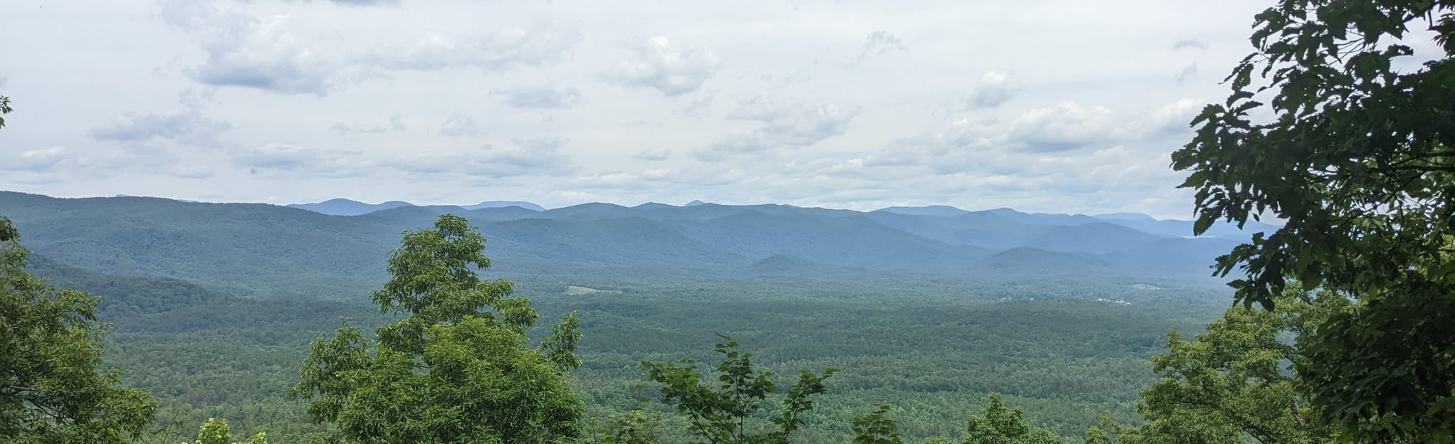 Tamassee Knob Trail: 257 Reviews, Map - South Carolina | AllTrails