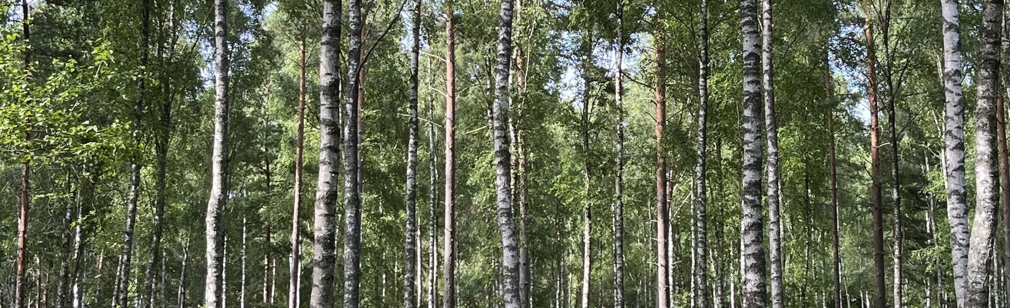 Asserbo Slotsruin - Trianglen: 6 Reviews, Map - Capital Region of ...