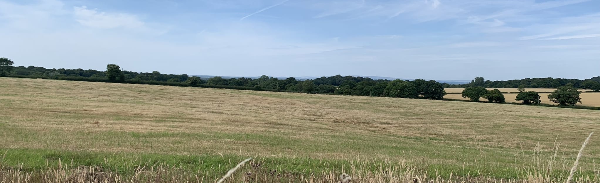 Hatton Circular, Cheshire, England - 17 Reviews, Map | AllTrails