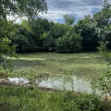 Spring Creek Trail, Oklahoma - 762 Reviews, Map | AllTrails