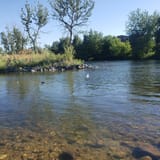 Boise Cascade Lake Loop, Idaho - 303 Reviews, Map | AllTrails