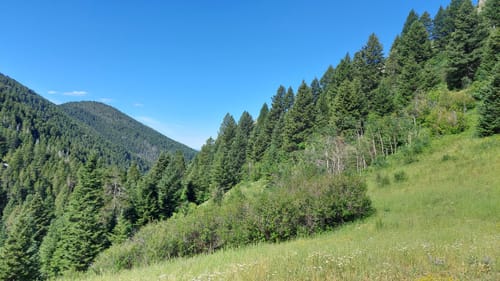 2023 Best 10 Trails in Custer Gallatin National Forest | AllTrails