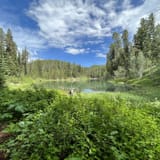 Whits Lakes Spring, Montana - 142 Reviews, Map | AllTrails