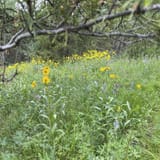 Whits Lakes Spring, Montana - 142 Reviews, Map | AllTrails