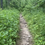 Boxley Valley Scenic Drive, Arkansas - 156 Reviews, Map | AllTrails